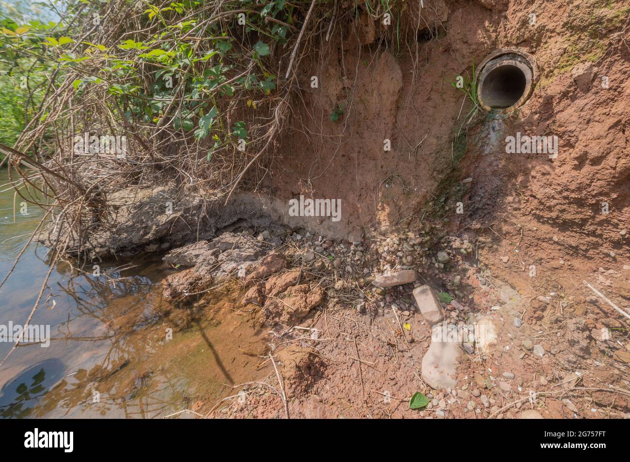 Domestic effluent discharging directly in to the Gwendraeth Fach ...