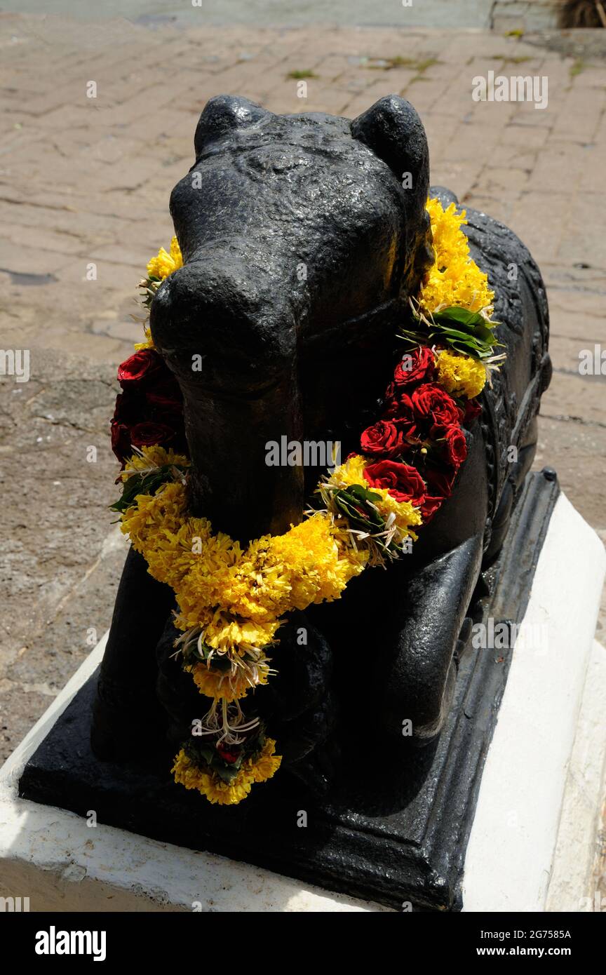 Nandi Hindu God