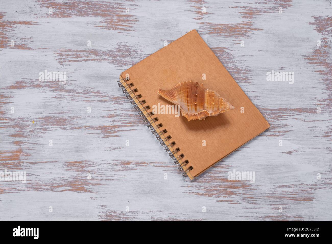 A top view of a notepad and a gastropod shell on a colorful background ...