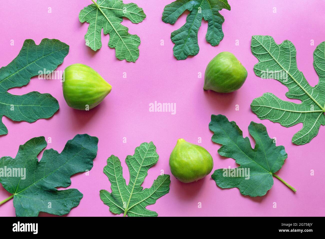 Types Of Figs Leaves