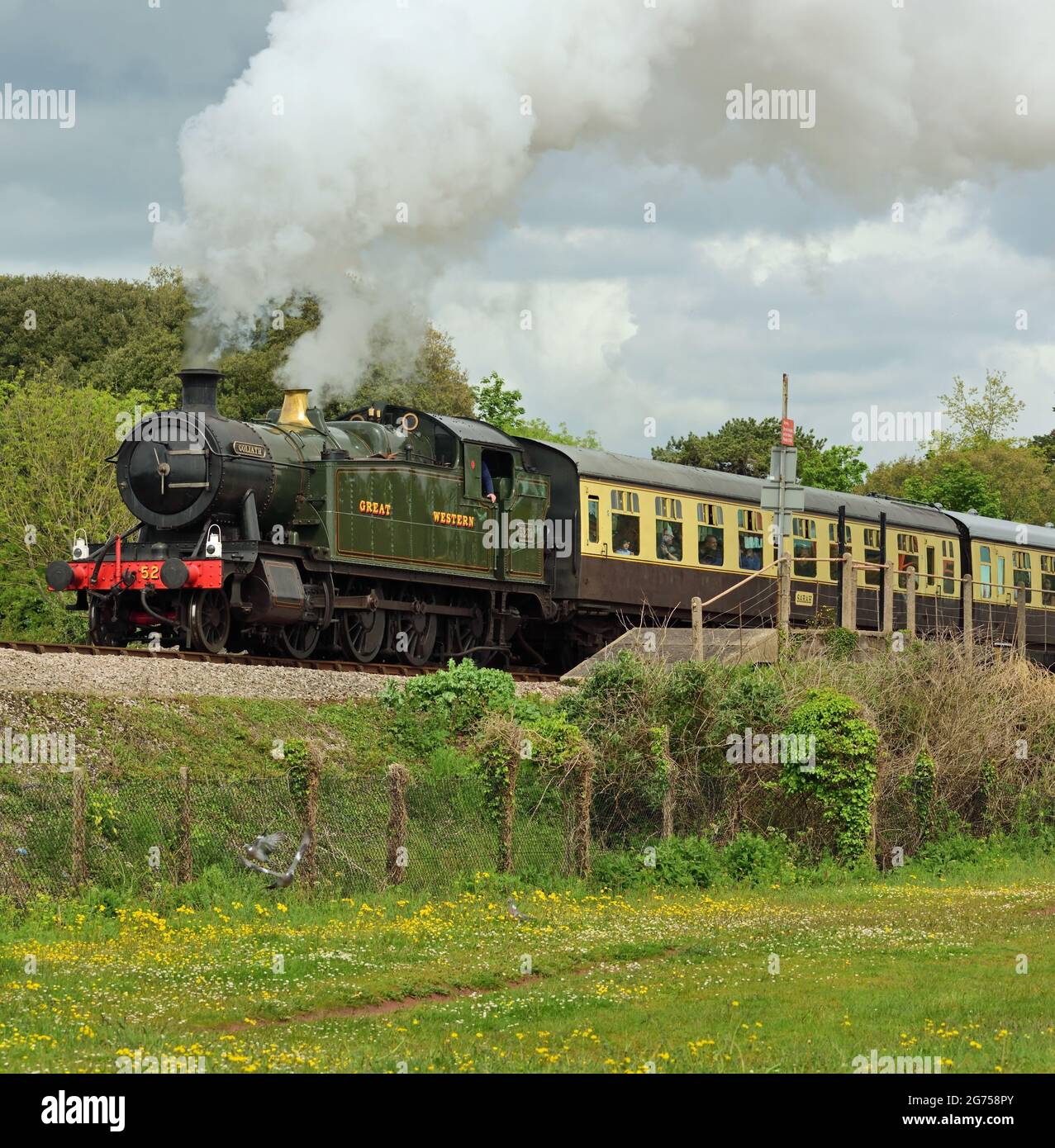 GWR 4200 class 2-8-0 tank engine No 5239 Goliath passing Goodrington ...