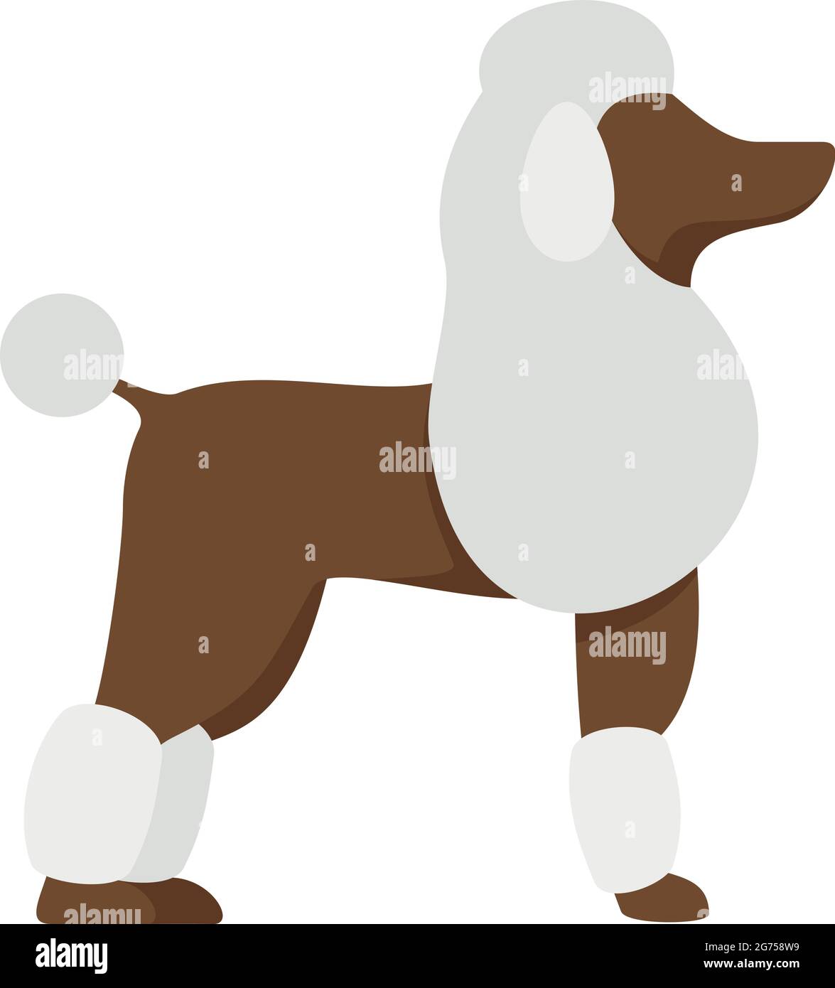 Poodle dog icon flat isolated vector Stock Vector Image & Art - Alamy