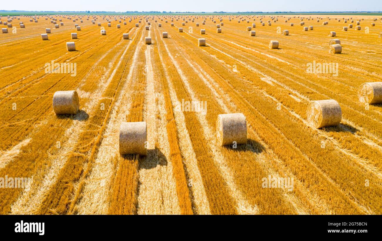 Above view of agricultural field with round bales of straw, after ...