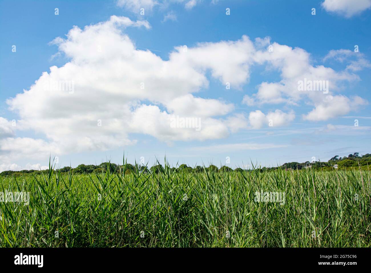 Goodwick beach hi-res stock photography and images - Alamy