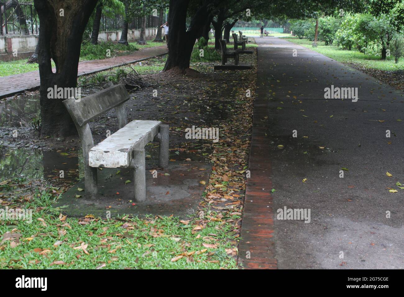 Beautiful shot bench in hi-res stock photography and images - Alamy