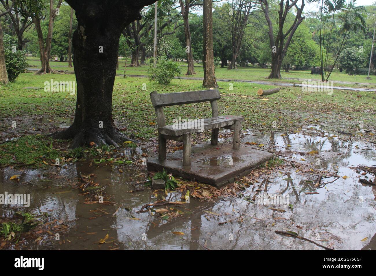Beautiful shot bench in hi-res stock photography and images - Alamy