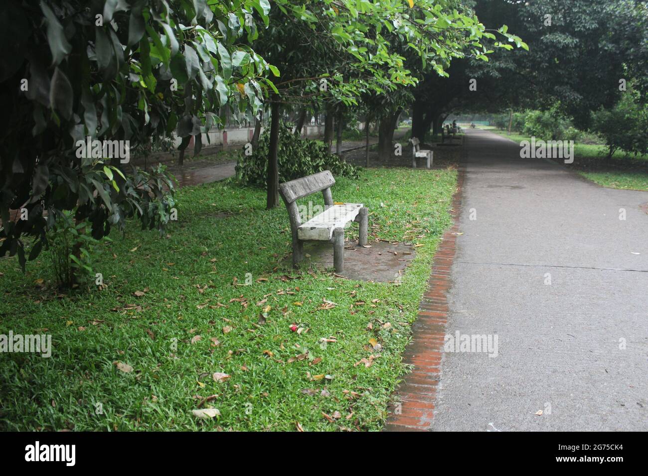 Beautiful shot bench in hi-res stock photography and images - Alamy