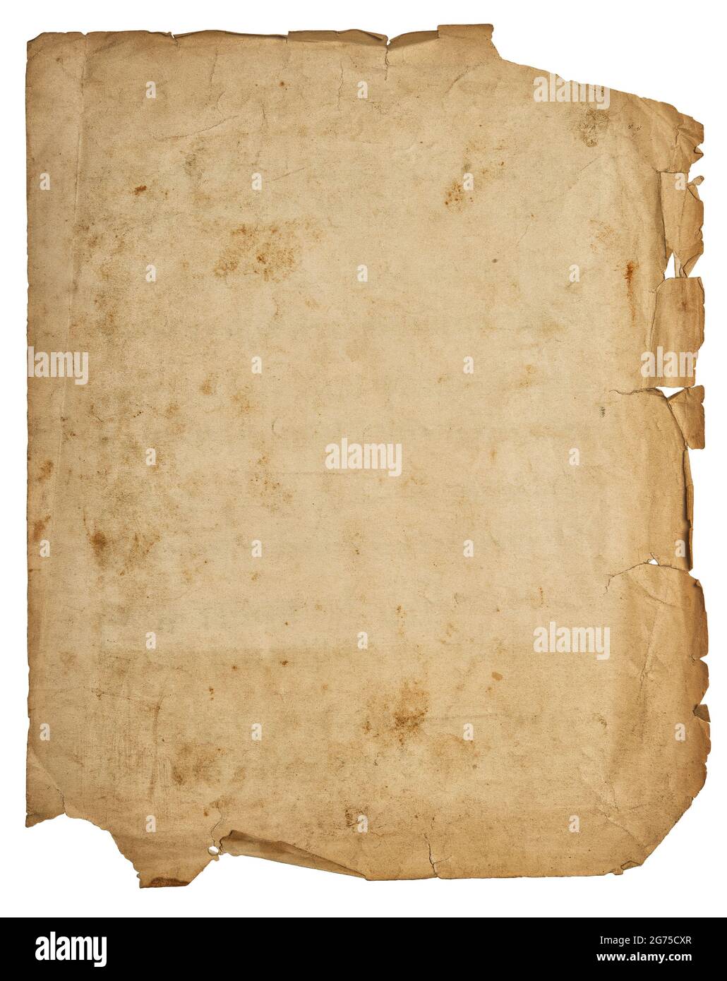 Aged paper sheet with ripped edges. Old grungy book page texture Stock ...