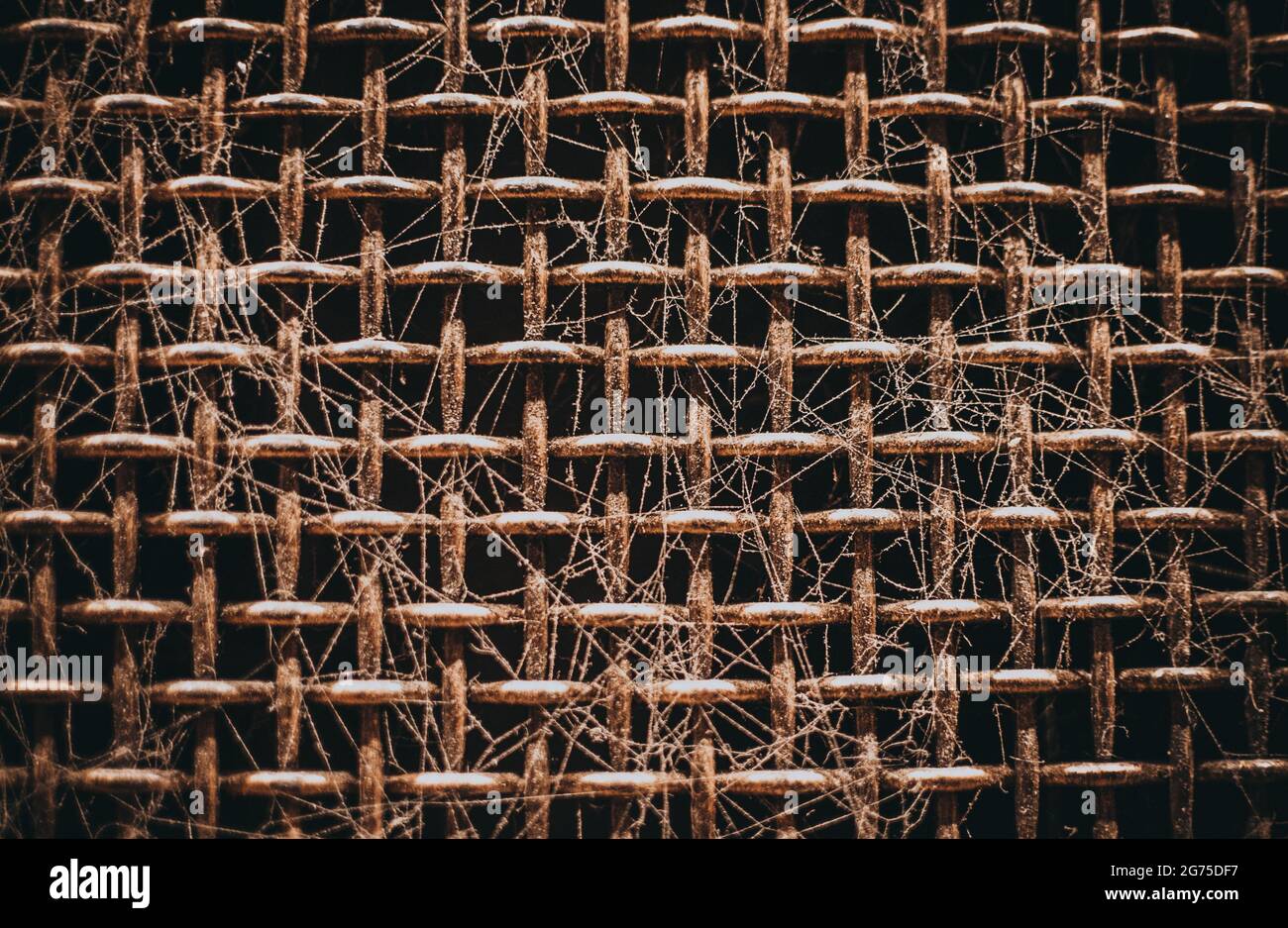 A closeup shot of an old rusty metal mesh covered by spider web Stock ...