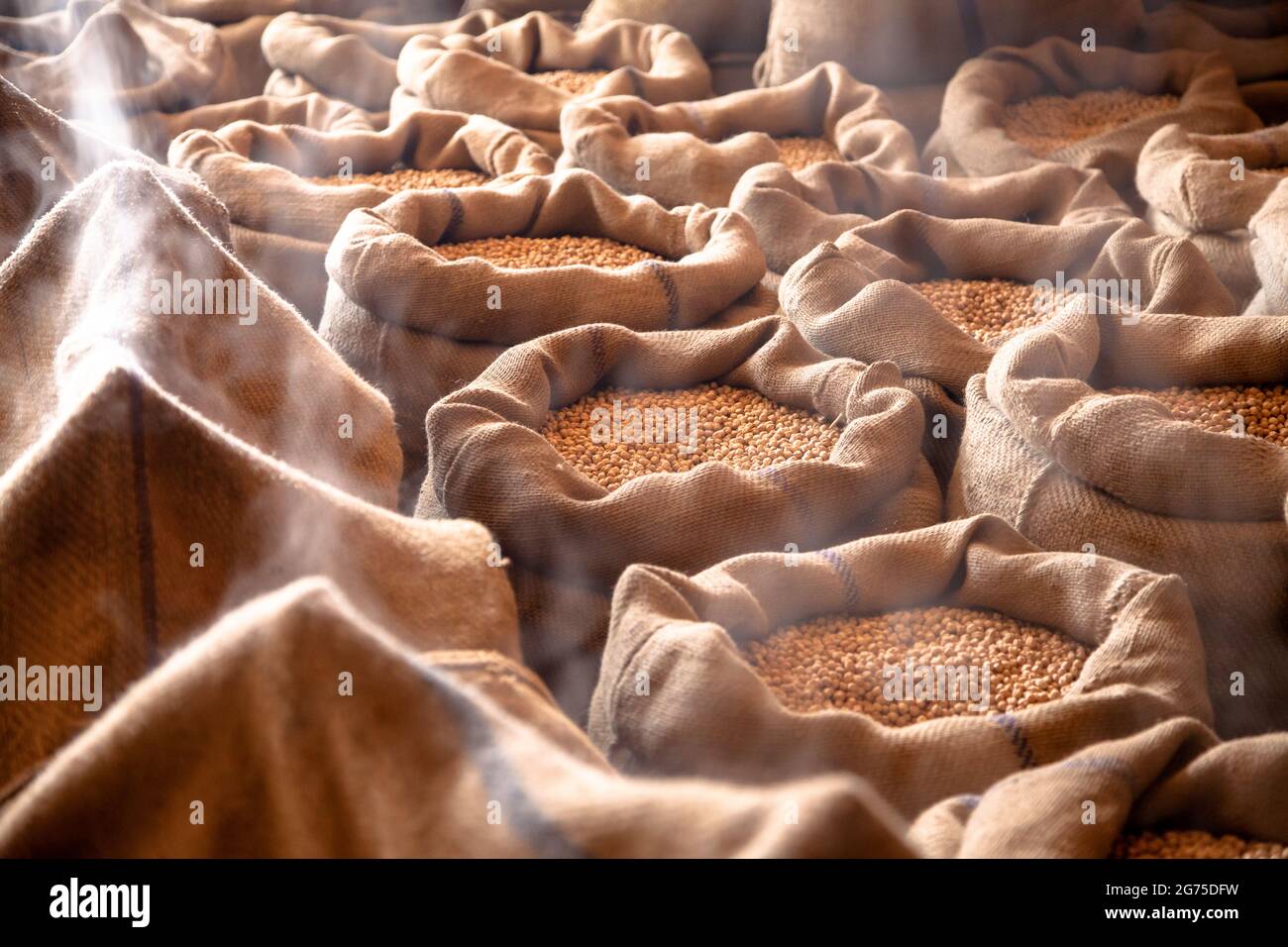 Closeup roasted delicious turkey hi-res stock photography and images ...