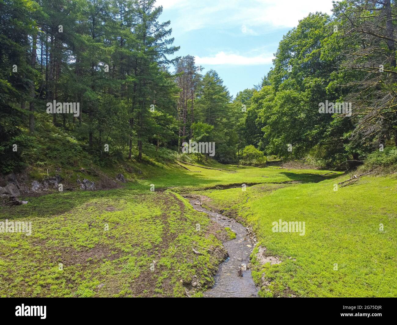 A river with pine trees around it, and the blue sky Stock Photo - Alamy