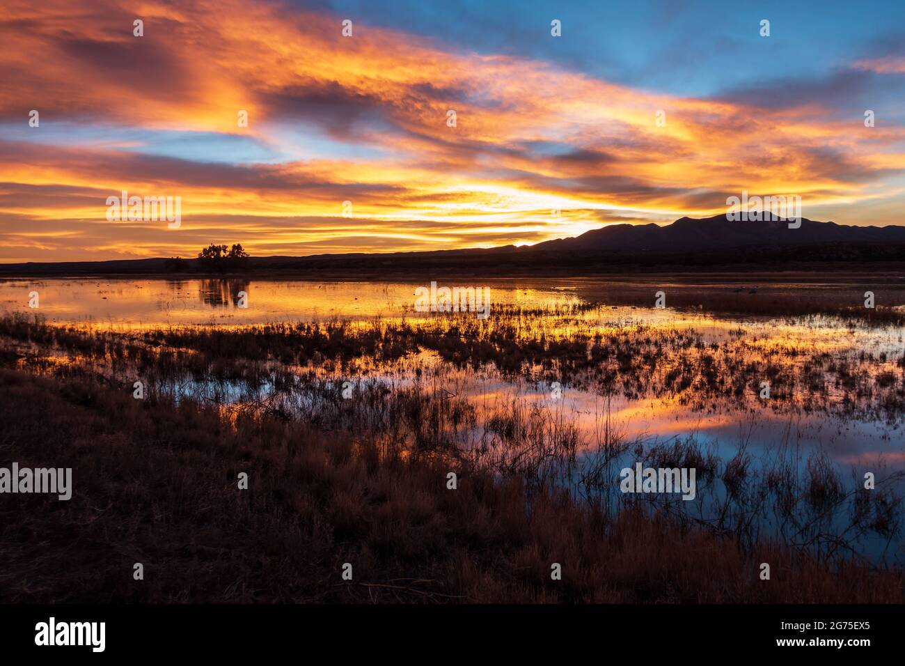 Sunset at Bosque del Apache, New Mexico Stock Photo - Alamy