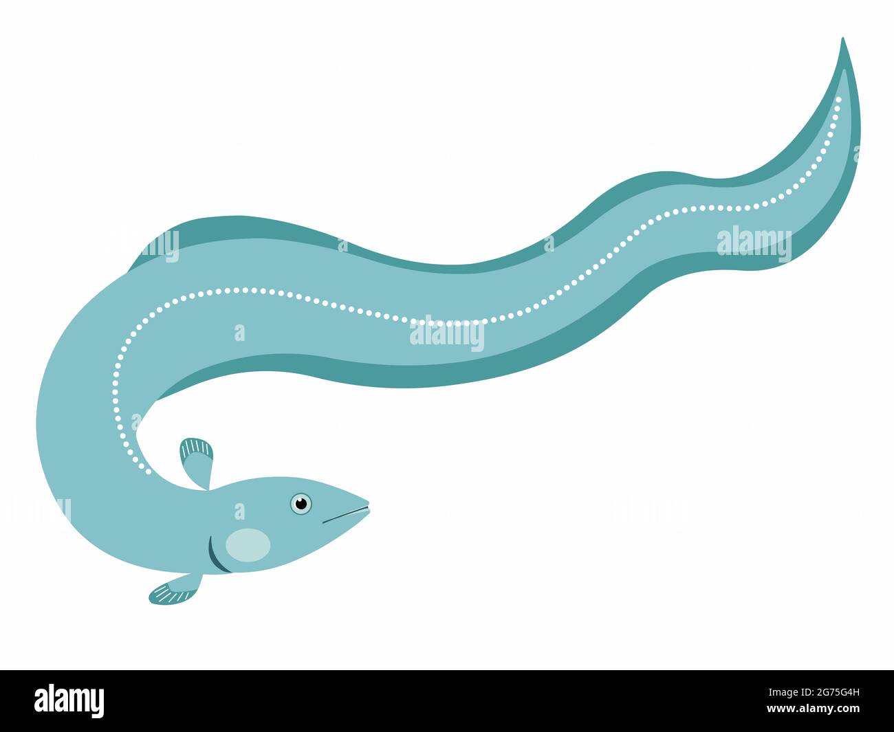 Eel on white background, animal illustration Stock Photo - Alamy