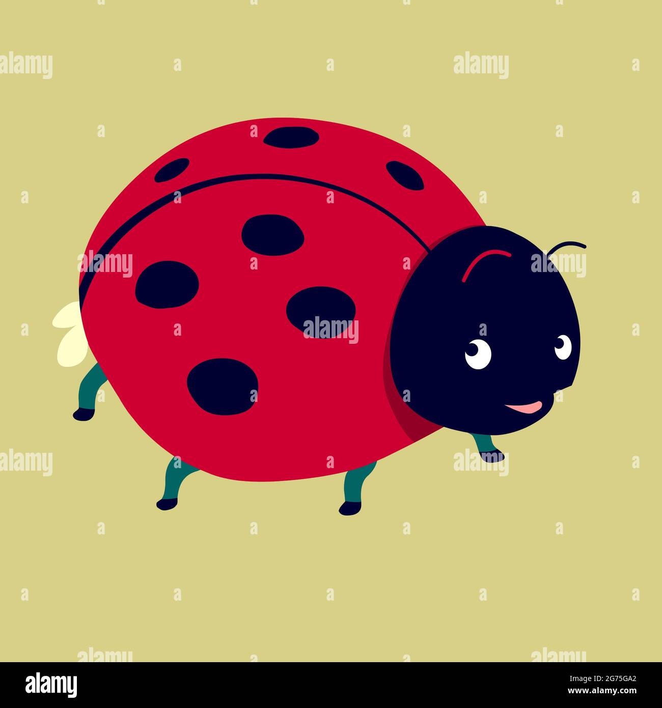Ladybug or ladybird, animal illustration Stock Photo - Alamy