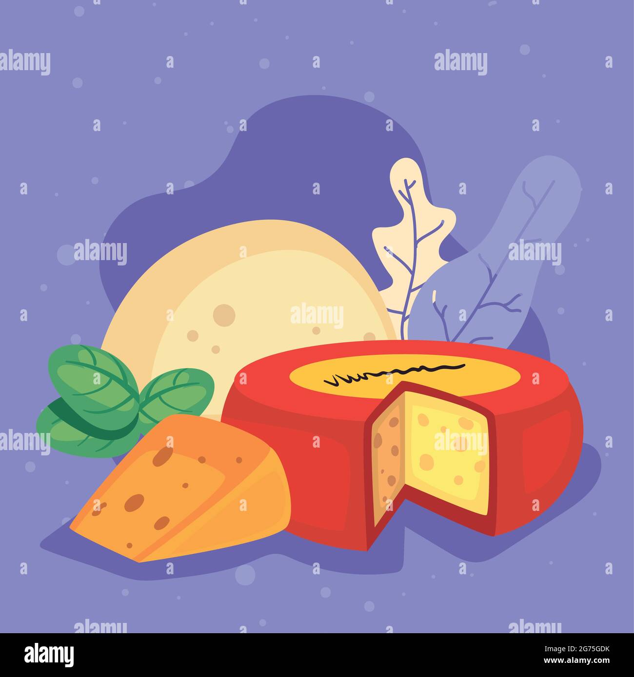 cheese round wheel of gouda Stock Vector Image & Art - Alamy