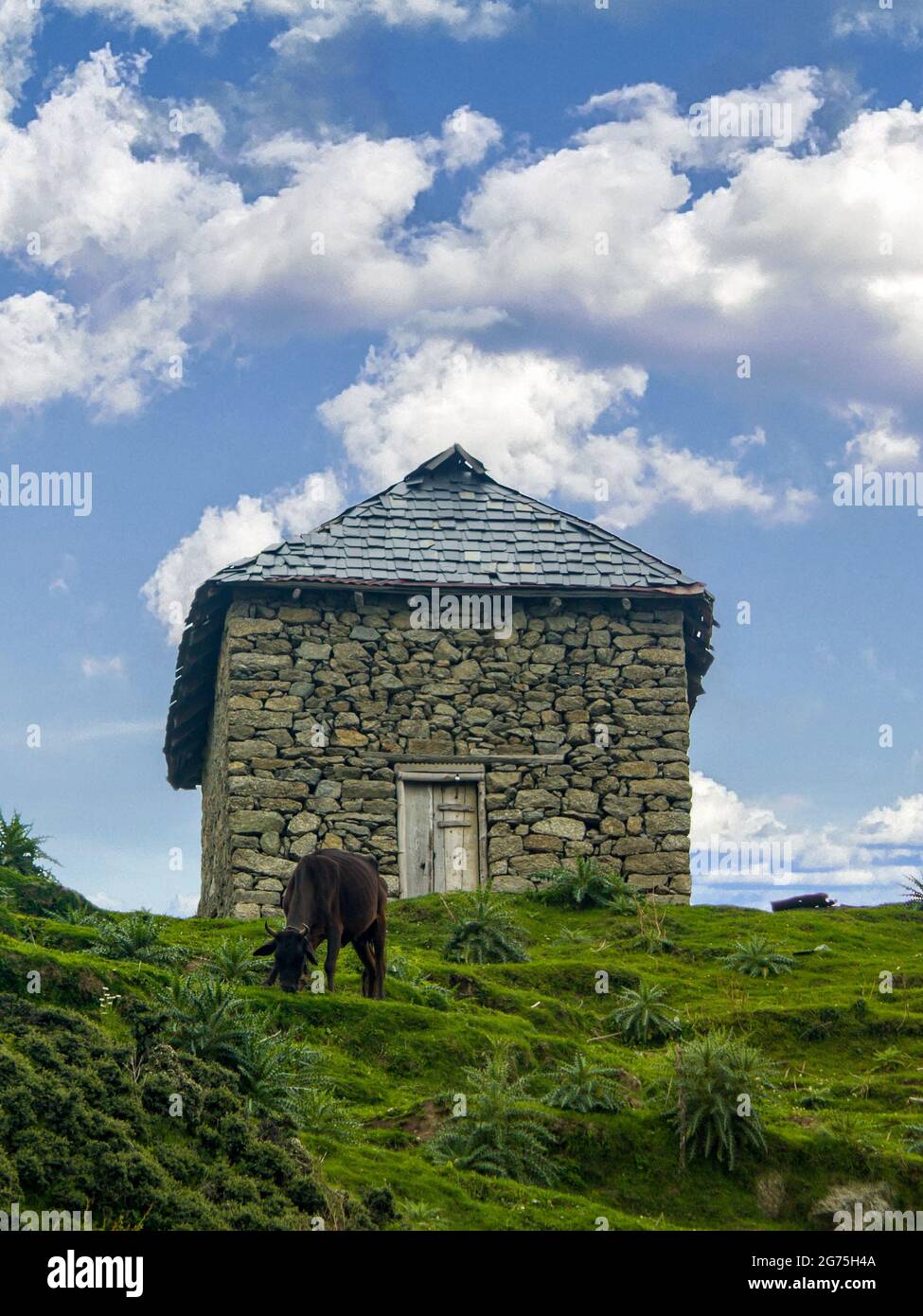 Old cow barn hi-res stock photography and images - Alamy