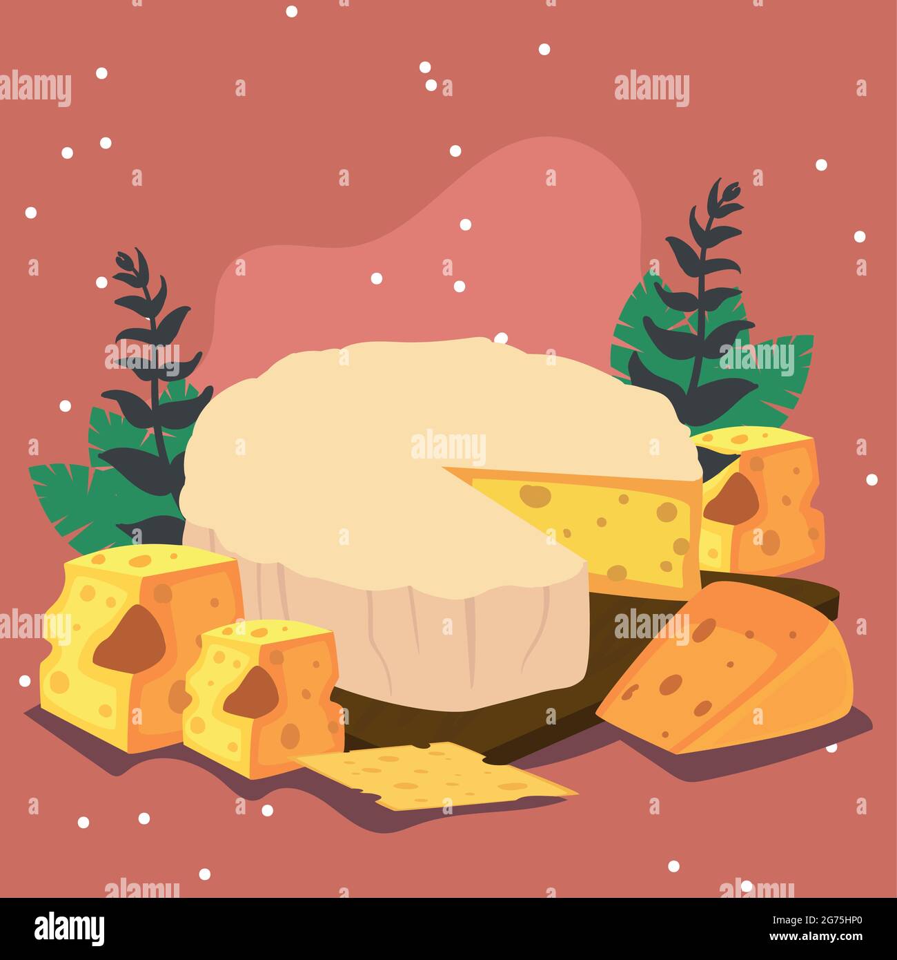 soft brie cheese in tray Stock Vector Image & Art - Alamy