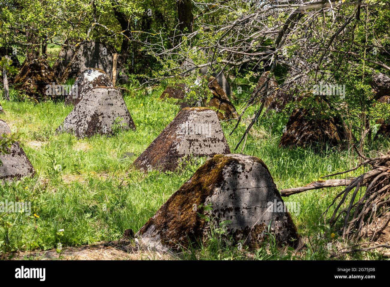 A nature reserve along the historic tank traps along the Westwall near ...