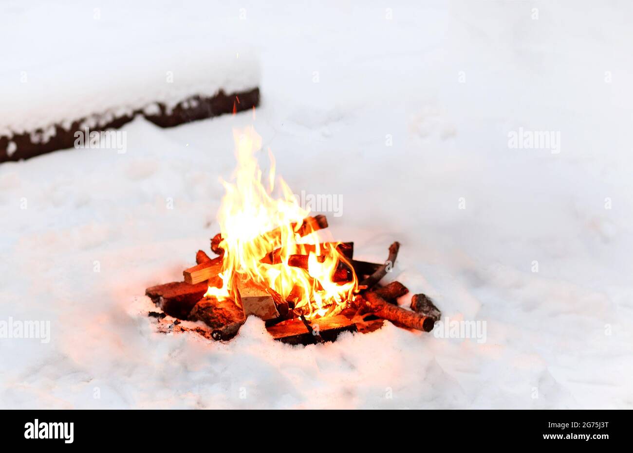 Burn woodland hi-res stock photography and images - Alamy