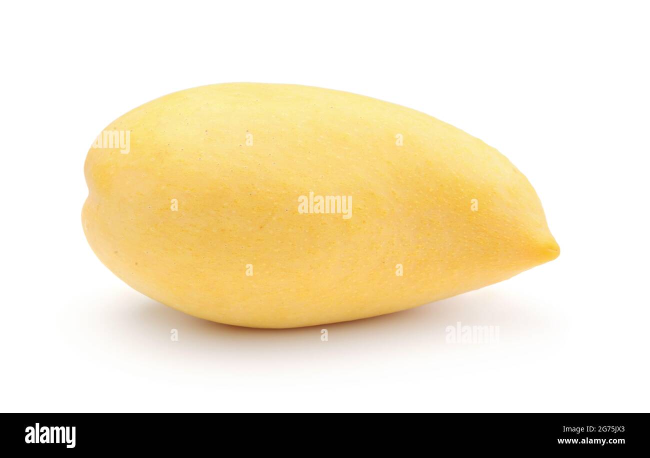 Whole yellow fresh mango isolated on white Stock Photo - Alamy