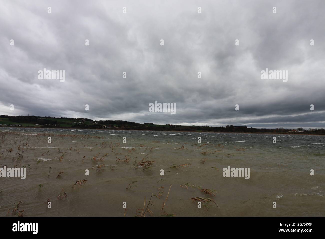 A dirty lake against the cloudy white sky on a rainy day Stock Photo ...
