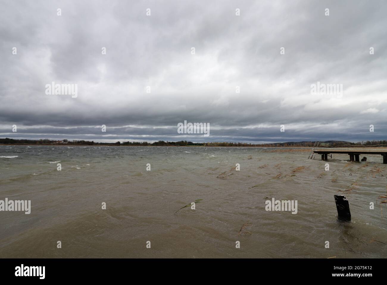 A dirty lake against the cloudy white sky on a rain Stock Photo - Alamy