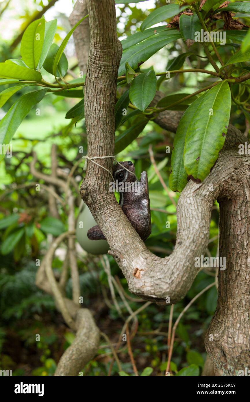 A plastic chipmunk tied to a branch of a rhododendron Stock Photo - Alamy