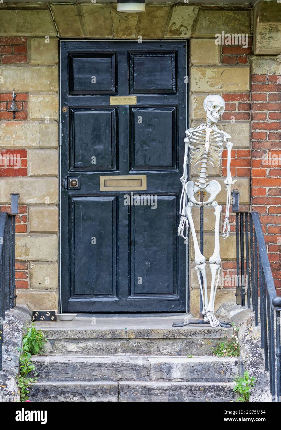 Full size skeleton hi-res stock photography and images - Alamy