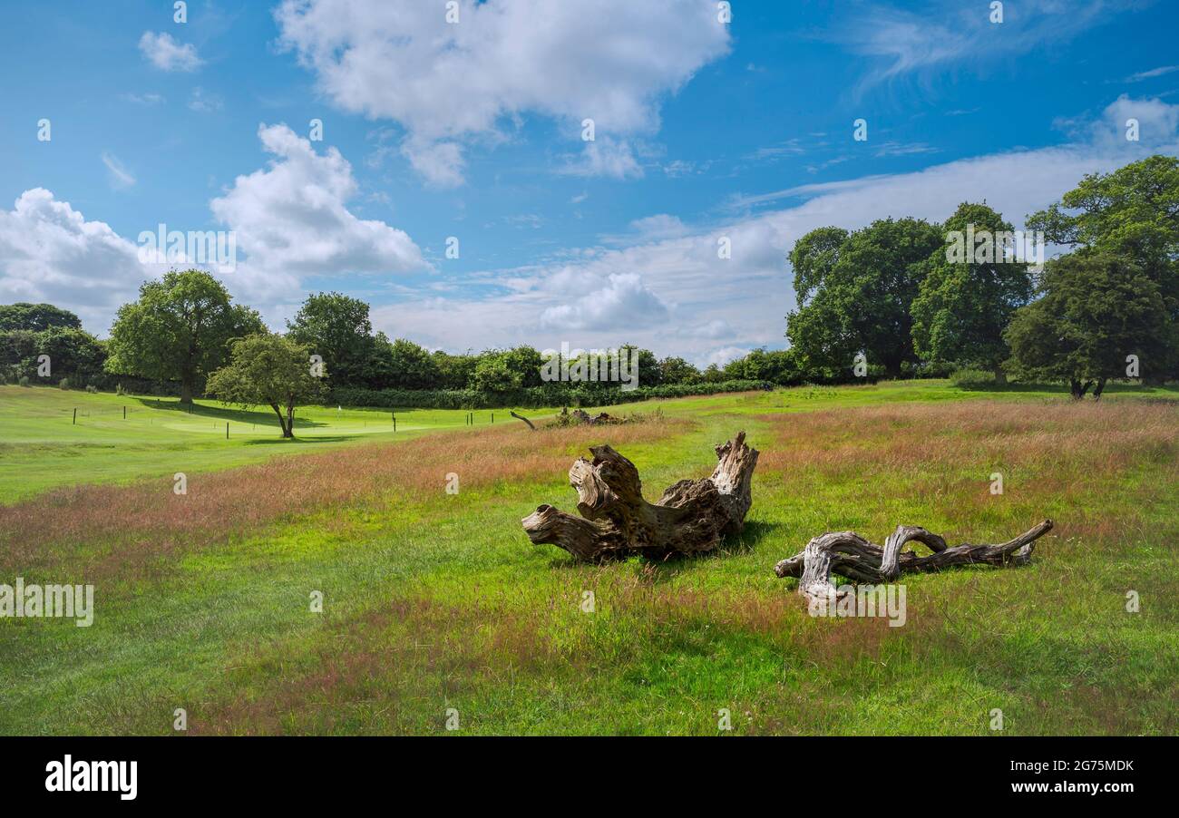 Rural damage hi-res stock photography and images - Alamy