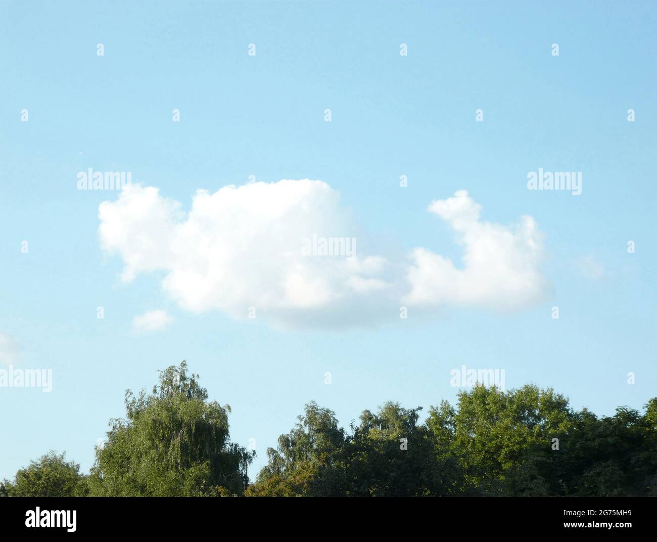 sky and tree at dry sunny day Stock Photo - Alamy