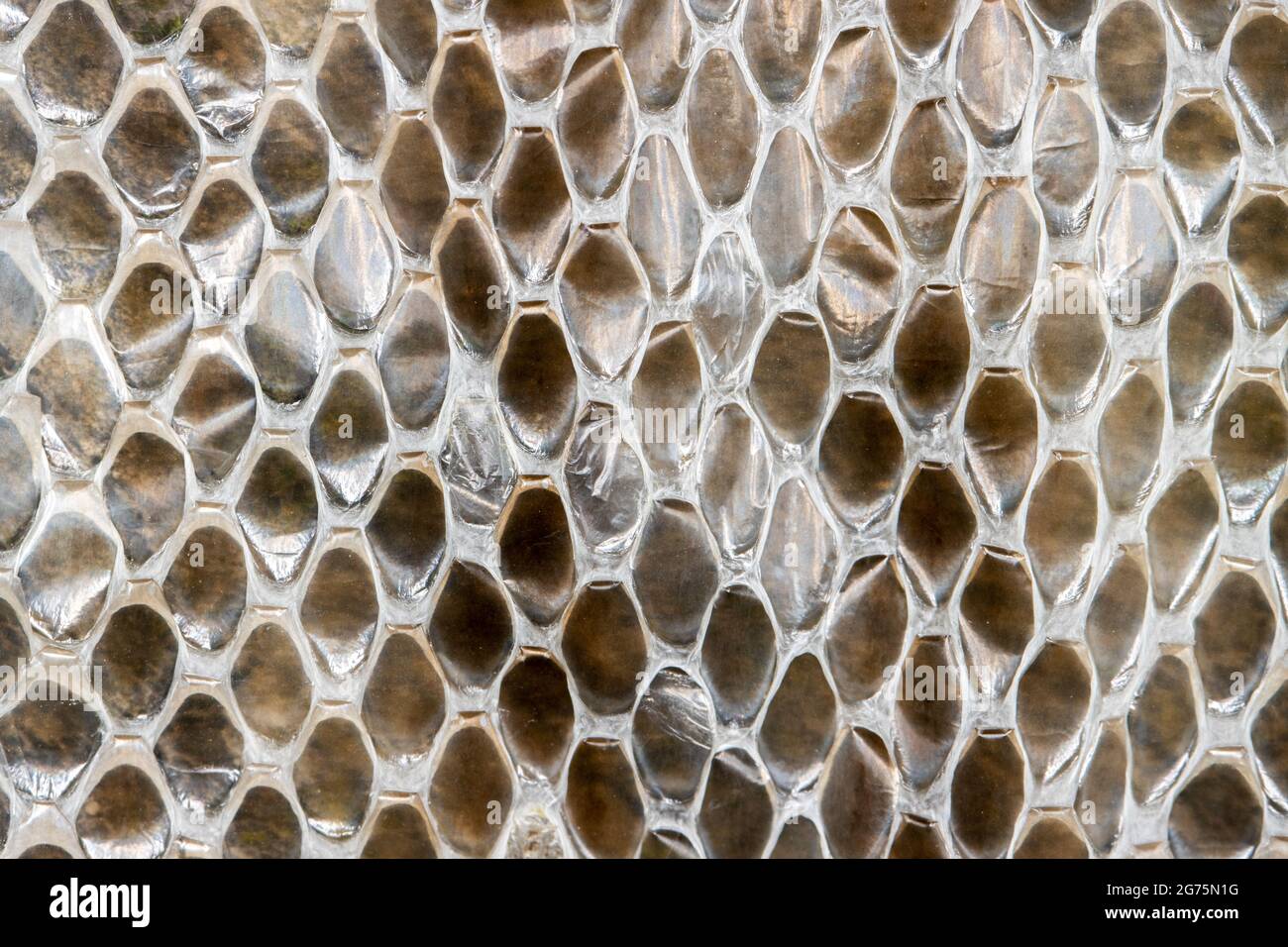 Snake skin scale pattern close up Stock Photo - Alamy