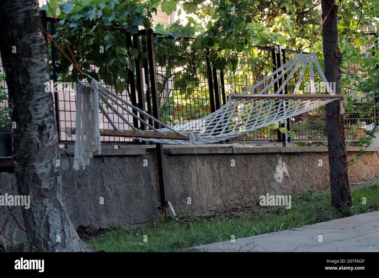 Tree made of ropes stretched between trees. Summer garden with hanging ...