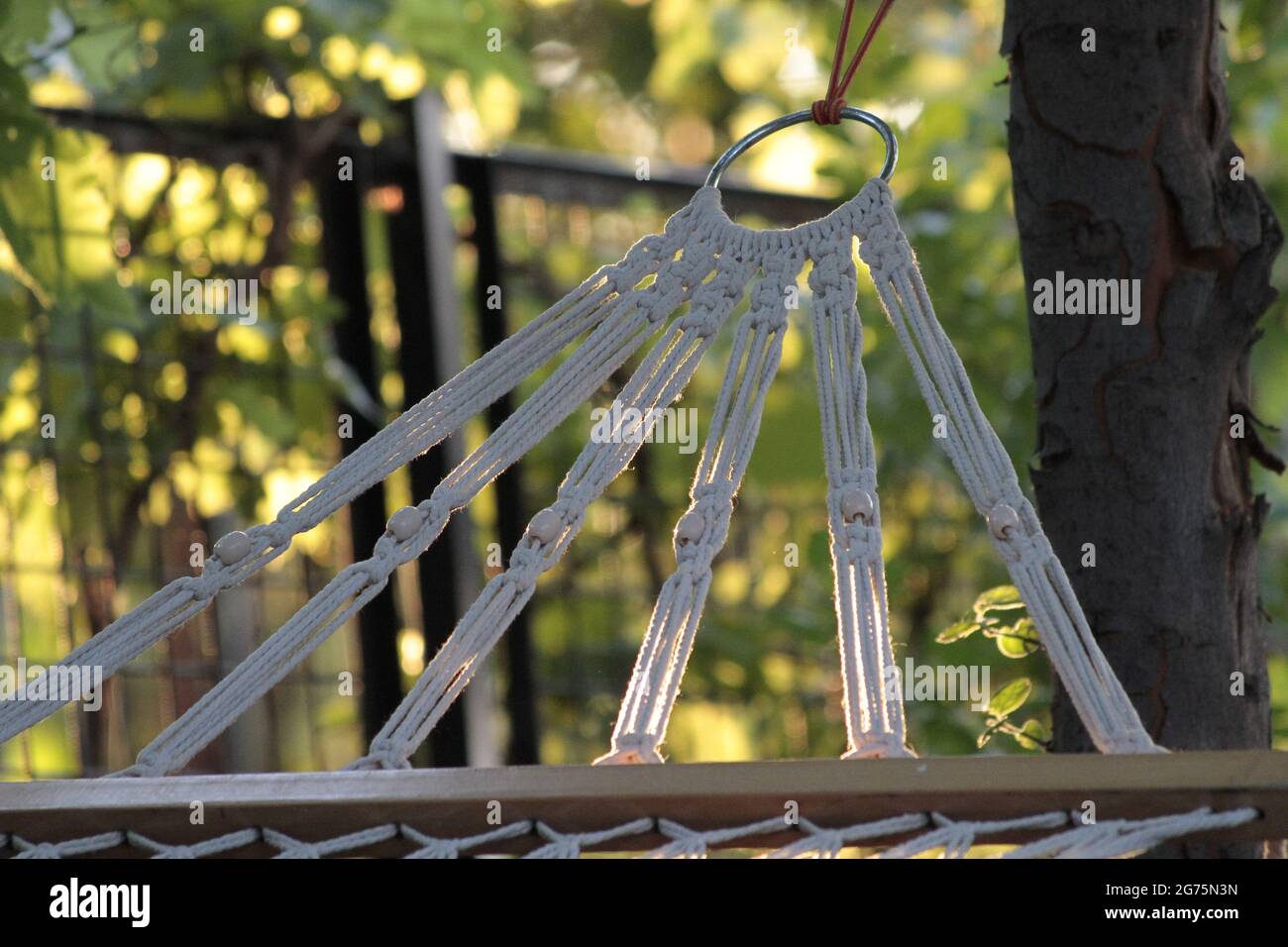 Tree made of ropes stretched between trees. Summer garden with hanging ...