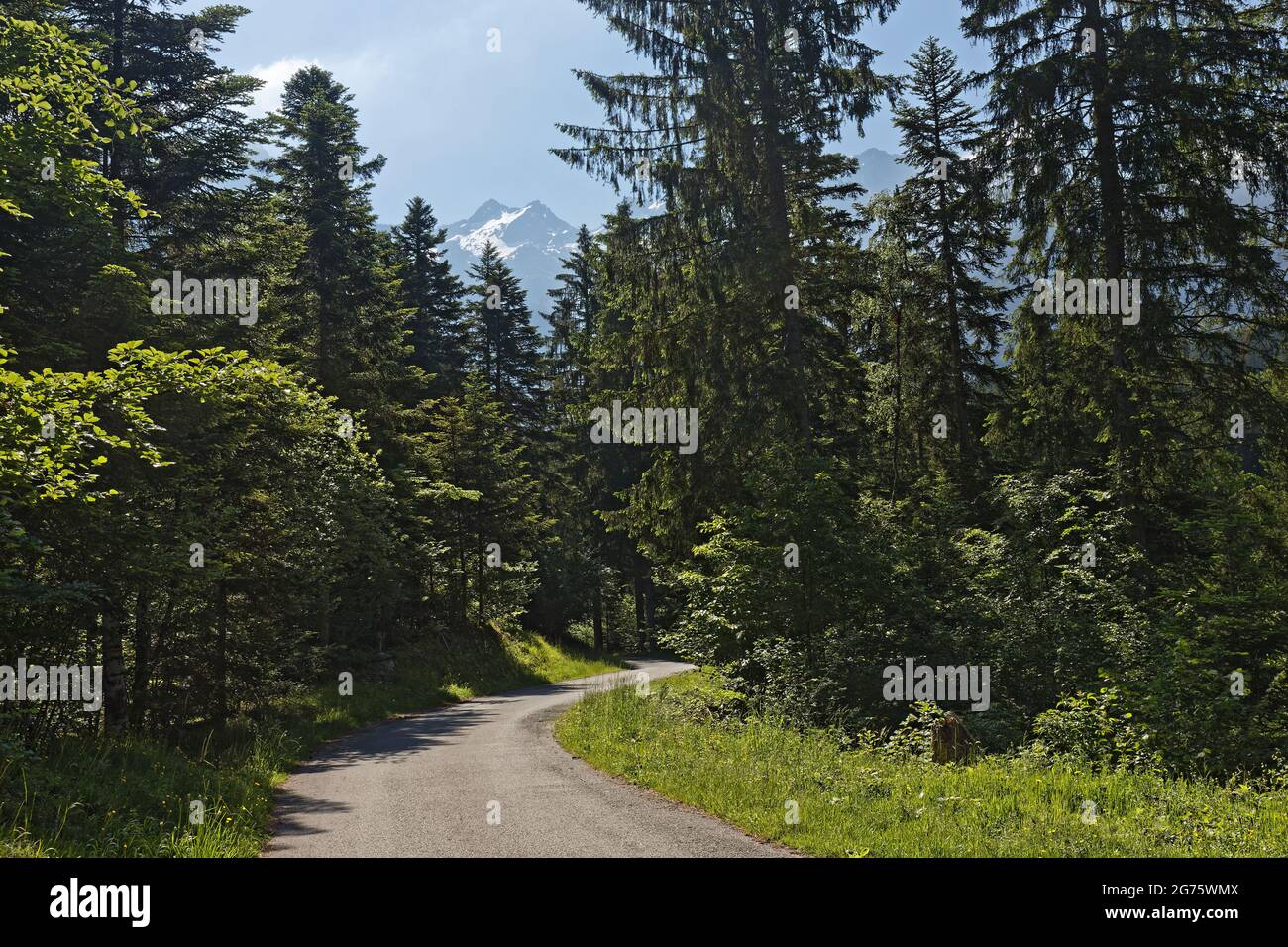 Narrow path runs hi-res stock photography and images - Alamy