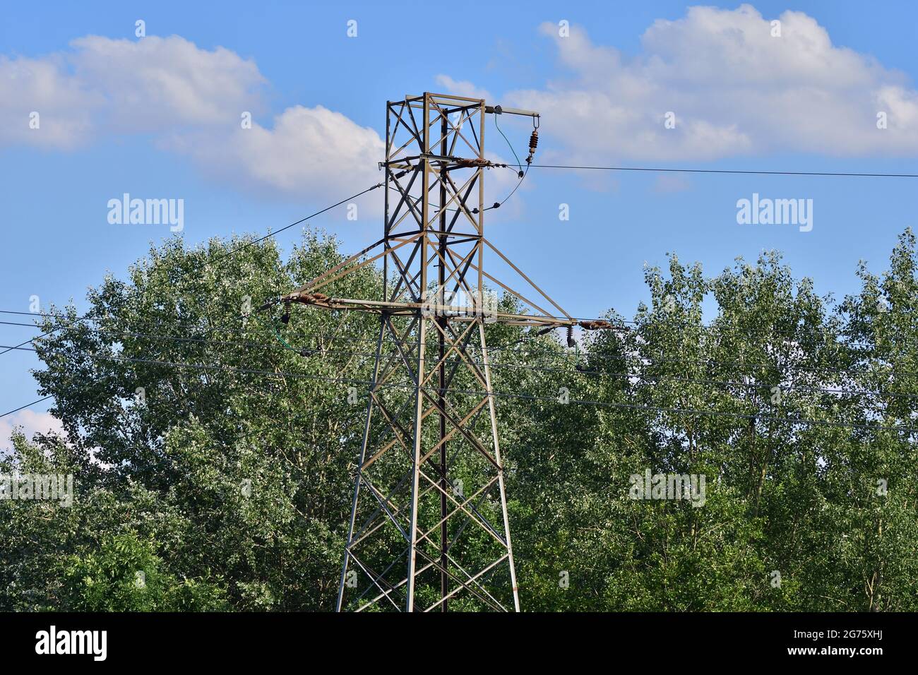 High voltage electric wires among trees. Danger Stock Photo - Alamy