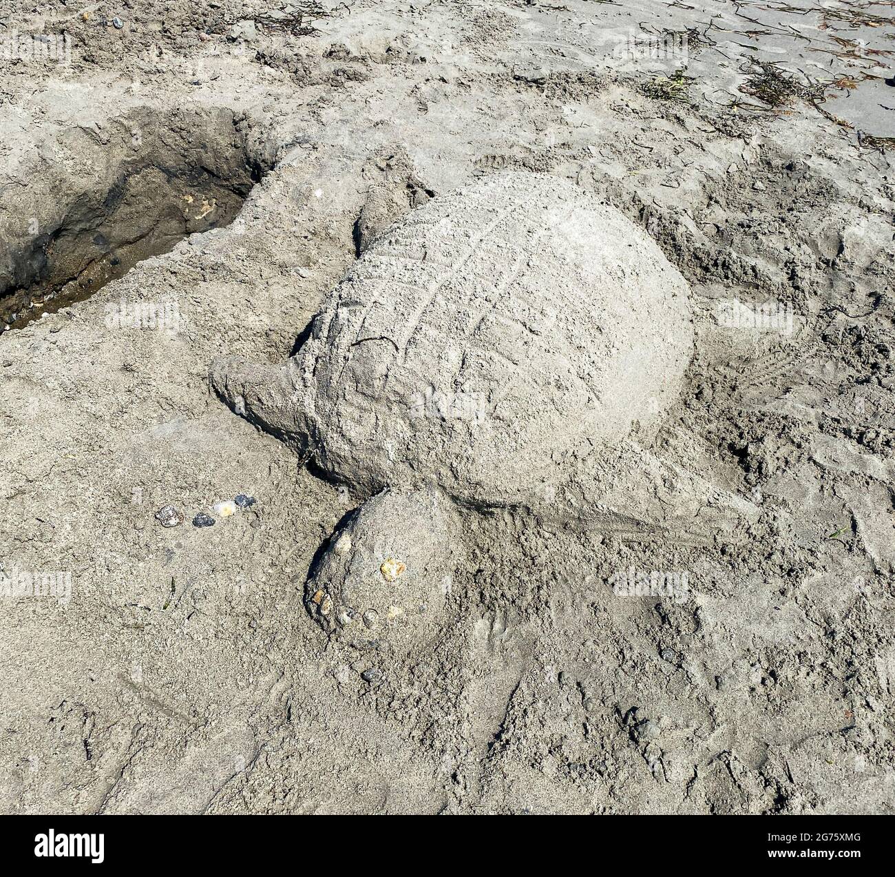 Sea turtle sculpture hi-res stock photography and images - Alamy