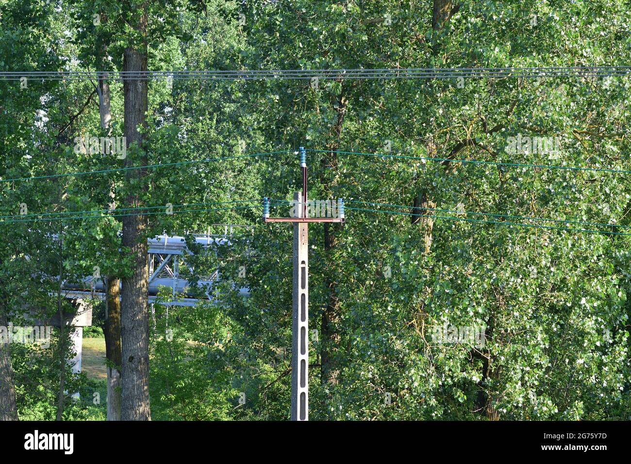 High voltage electric wires among trees. Danger Stock Photo - Alamy