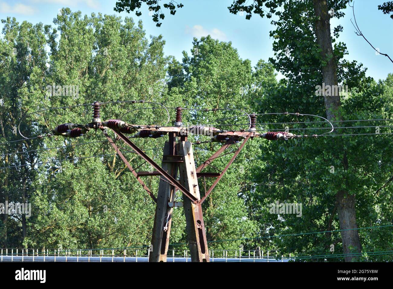 High voltage electric wires among trees. Danger Stock Photo - Alamy