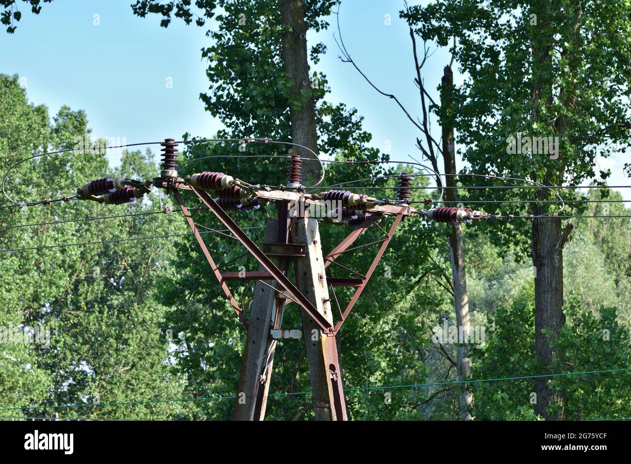 High voltage electric wires among trees. Danger Stock Photo - Alamy