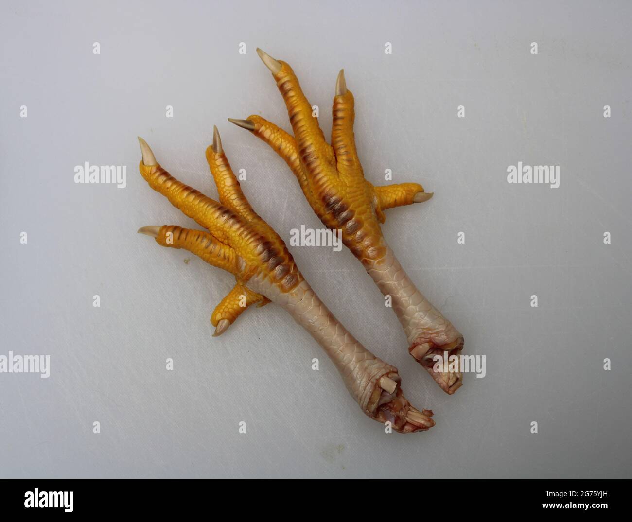 Sharp Talons High Resolution Stock Photography and Images - Alamy
