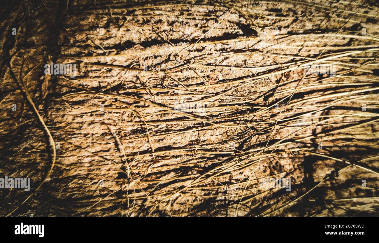 A wooden texture for background with deep lines Stock Photo - Alamy