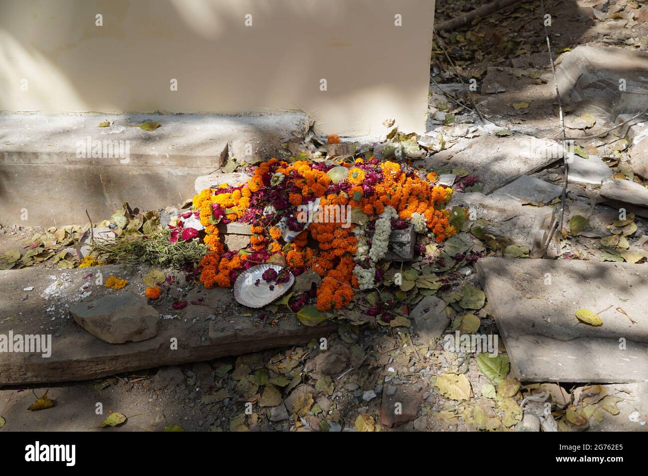 This is a picture of pollutants like decomposing flowers. A large pile ...