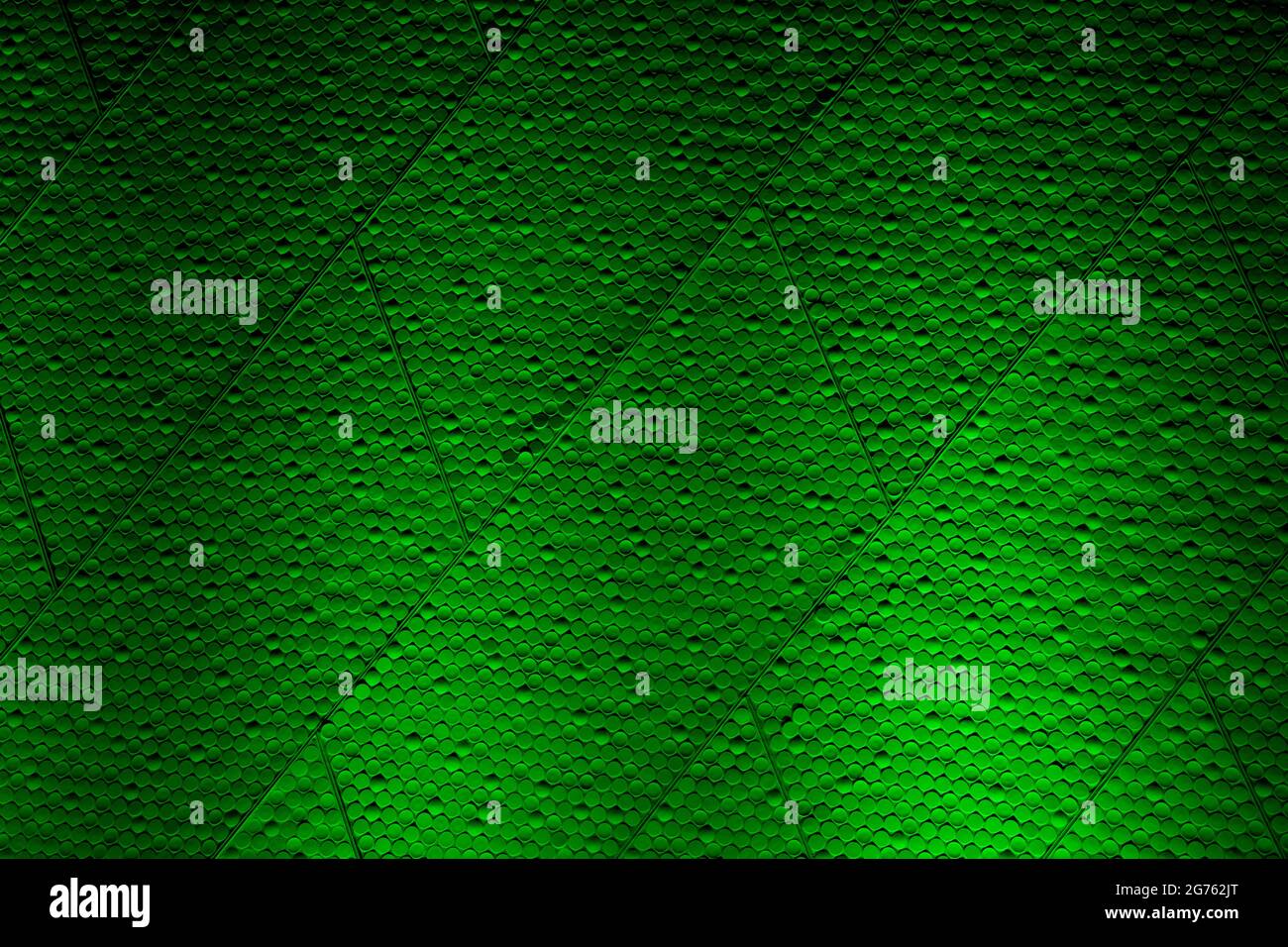 Green small circle pattern background with lines Stock Photo - Alamy