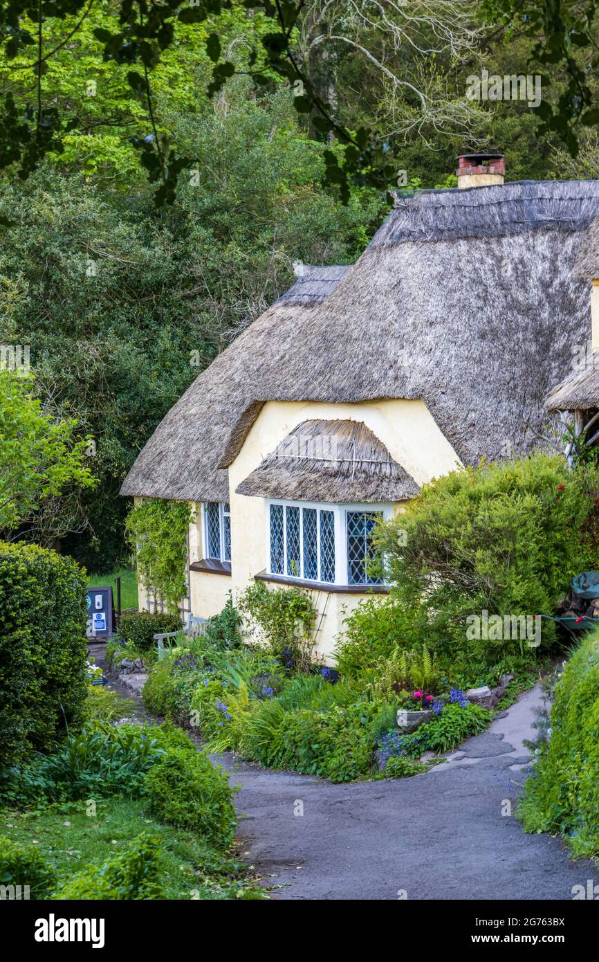 Thatched cottage minehead hi-res stock photography and images - Alamy