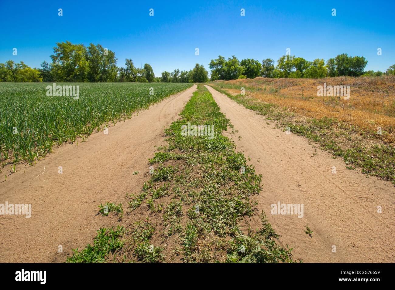 Unplowed hi-res stock photography and images - Alamy