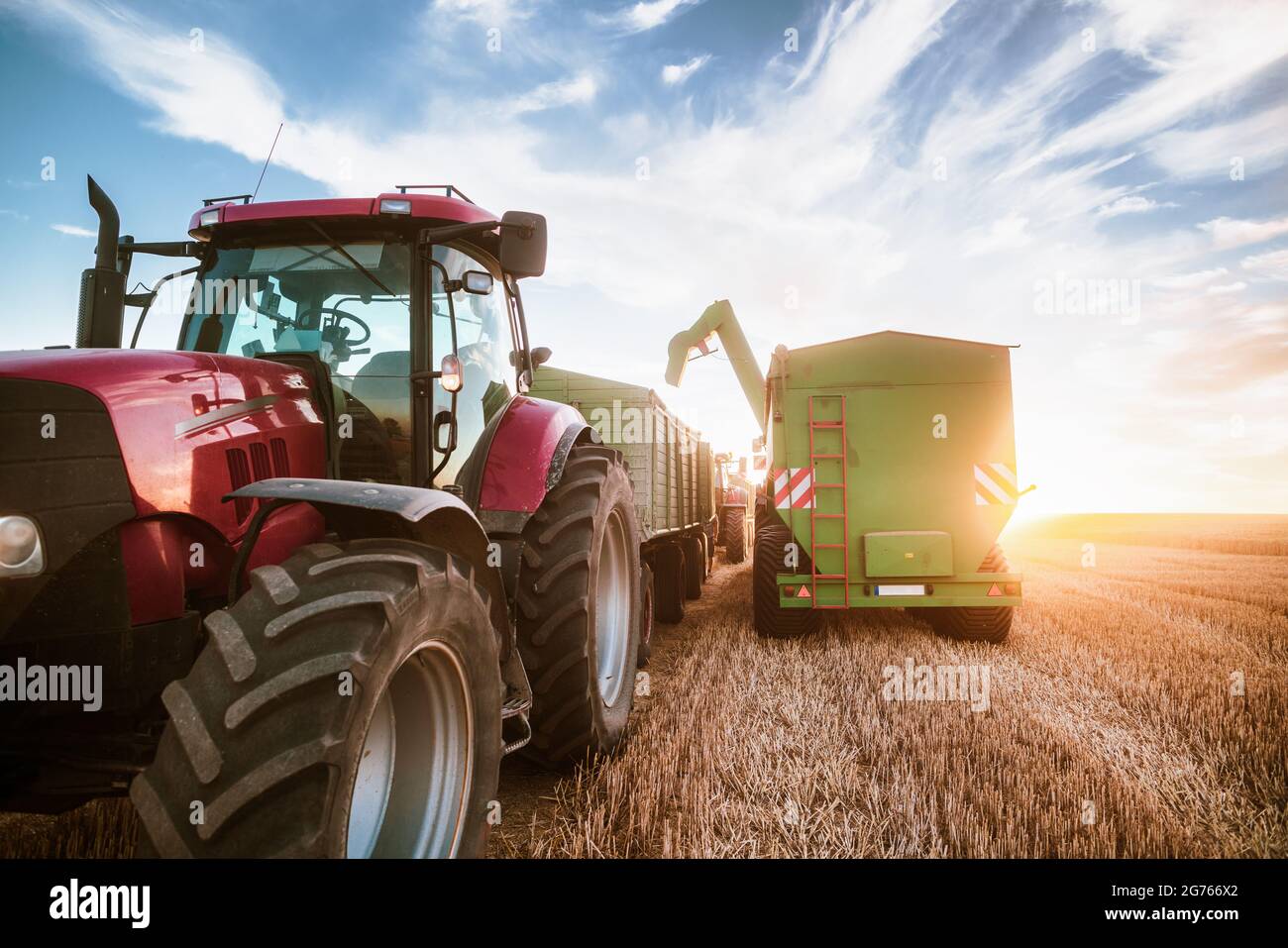 Corn being reloaded after harvest for transport to granary Stock Photo ...
