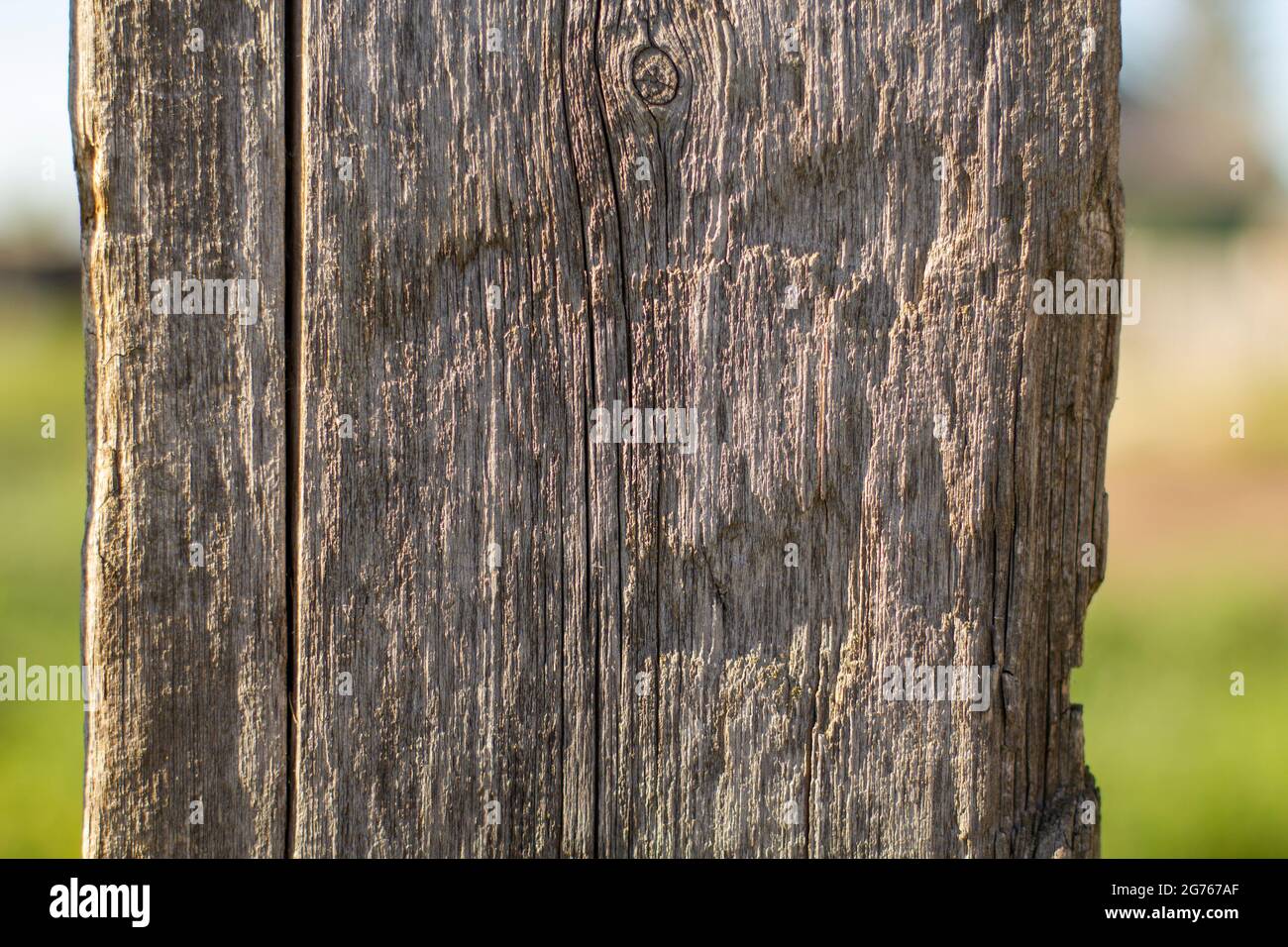 The background looks like an old ribbed board. Authentic background as ...