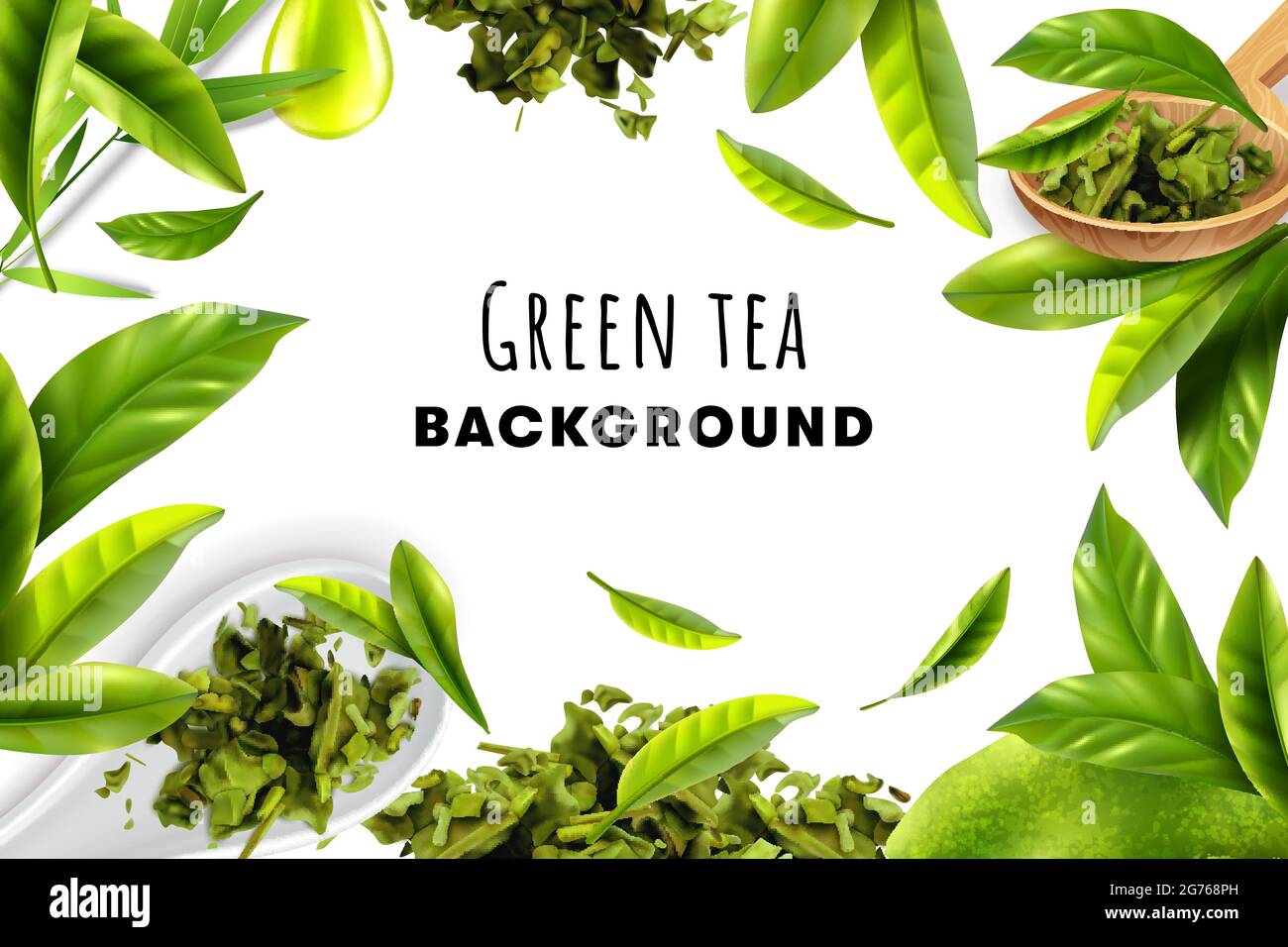 Green tea white background with herbal frame of fresh leaves and piles ...