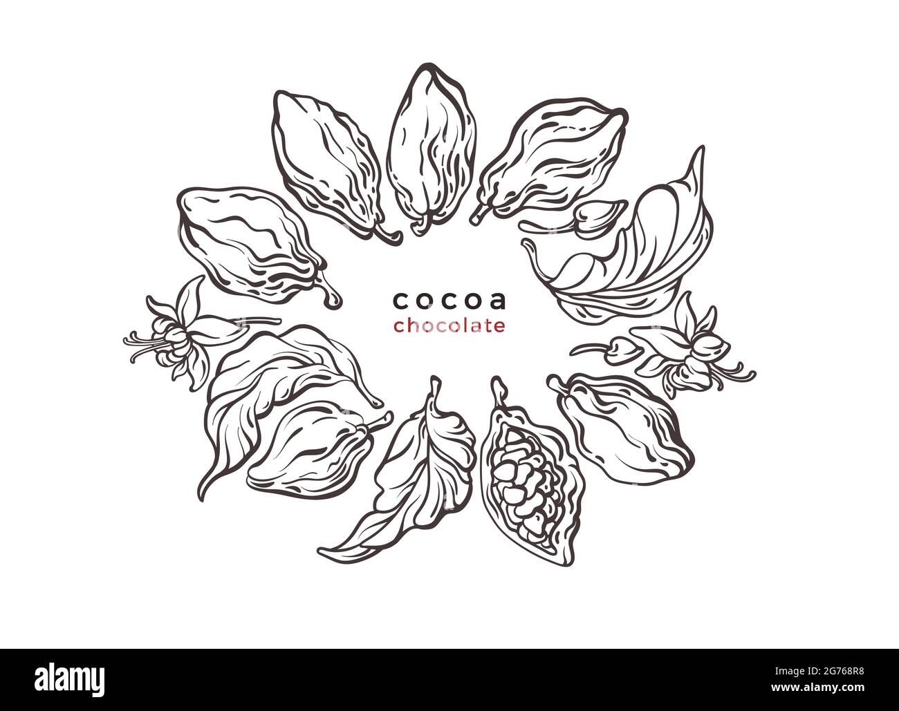 Cocoa circle pattern. Vector texture symbol. Choco tree, branch, bean ...