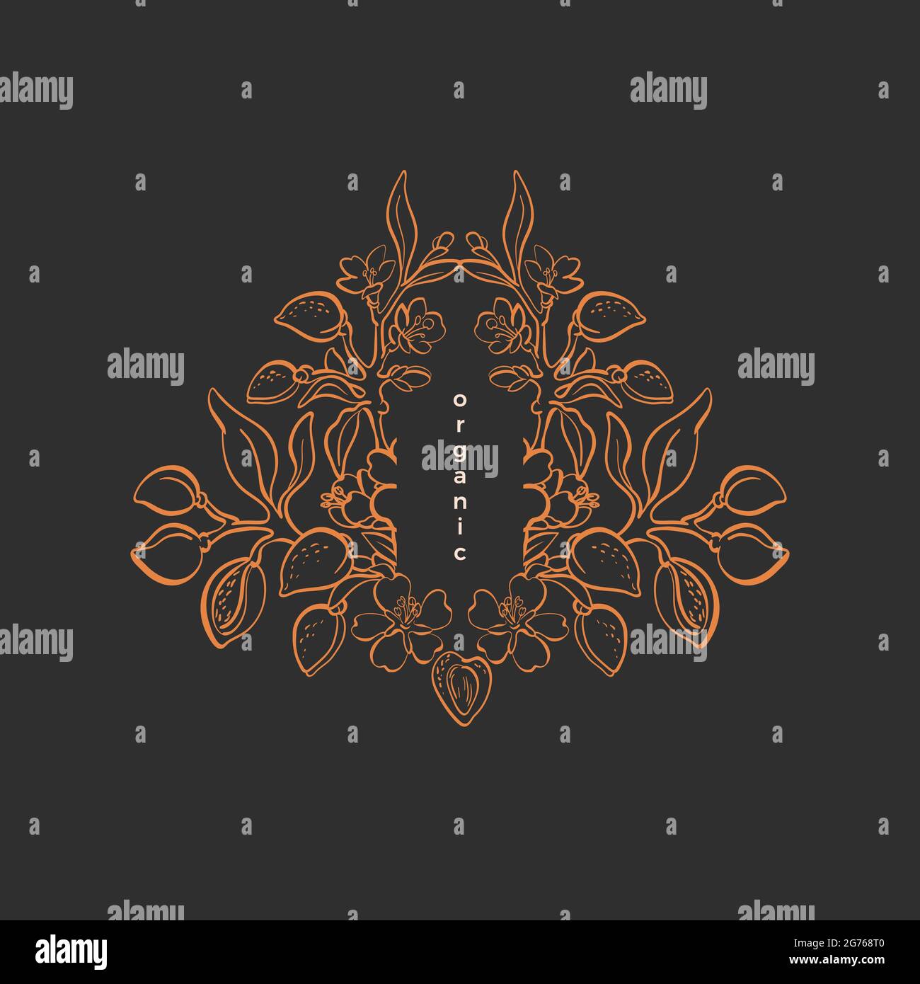 Floral organic symbol. Vector plant, natural nut, art line leaves ...